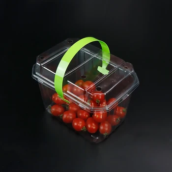 Custom Transparent Plastic Fruit Container With Handle,Clear Portable ...