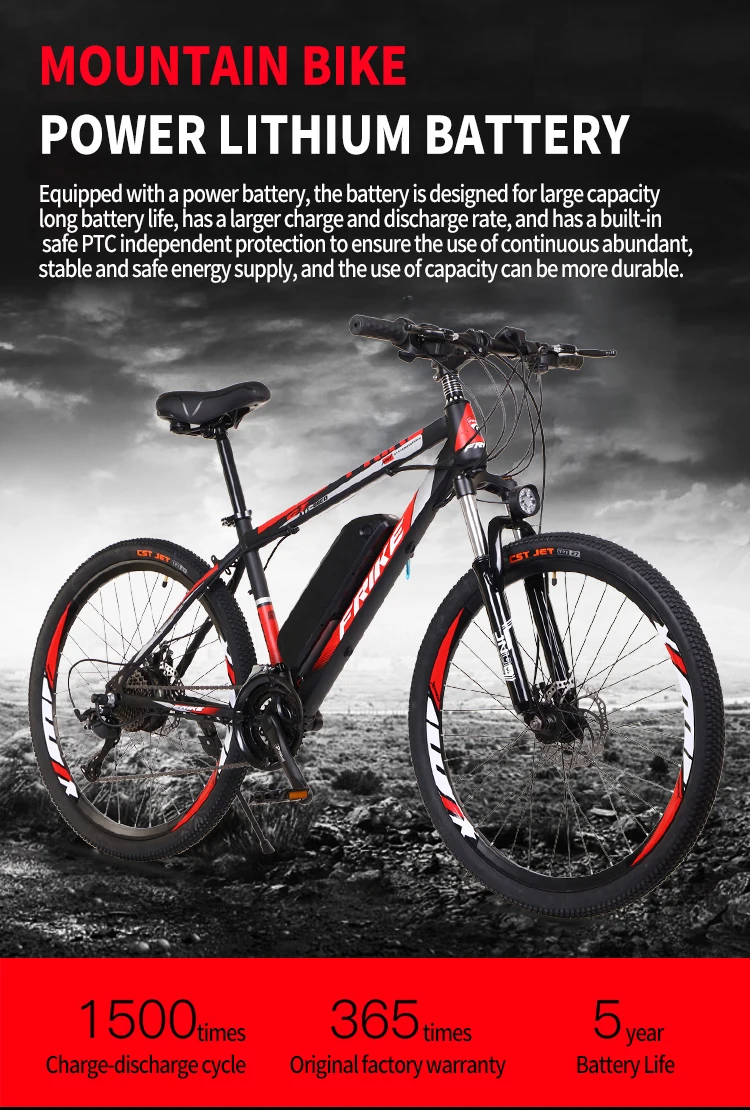 FRIKE 1000W 48V Electric Bicycle - Affordable Ebike with 21 Speed Gears ...