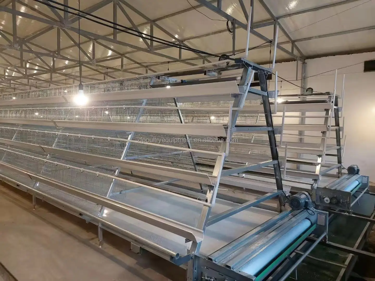 Efficient Chicken Manure Removal System for Farms