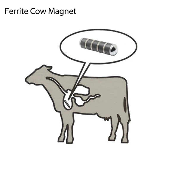 Different Types Of Cow Magnets For Cow Stomachs - Buy Magnets,Iron ...