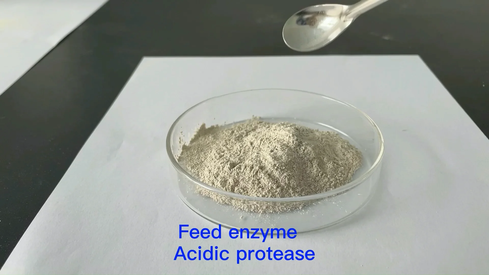 Animal Feed Additive Spulver Trichoderma Acid Cellulase Enzyme Powder ...