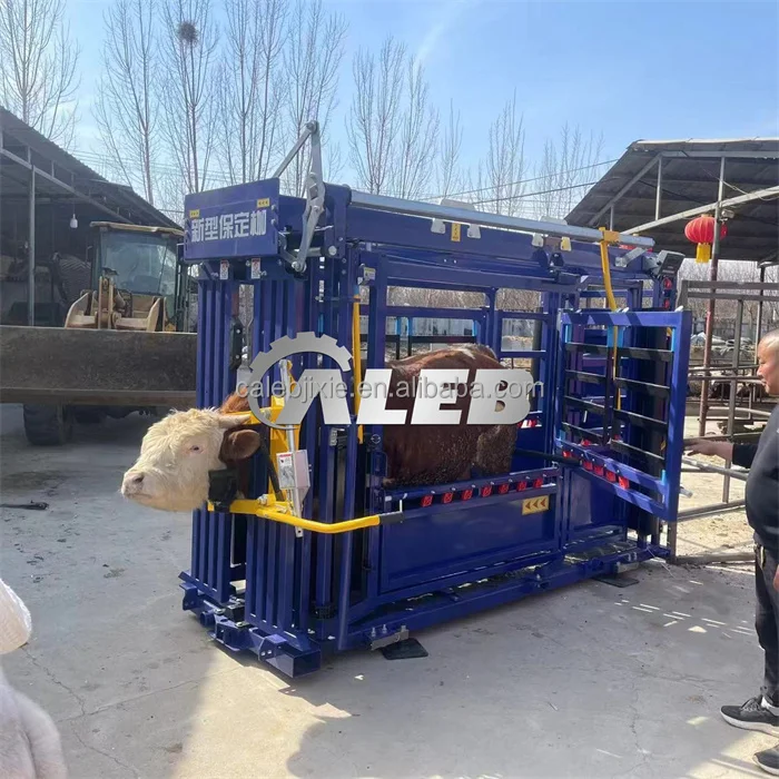 High Efficiency Hydraulic Cattle Squeeze Chute for Farms