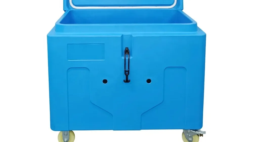 Large Dry Ice Containers at Albert Hoopes blog