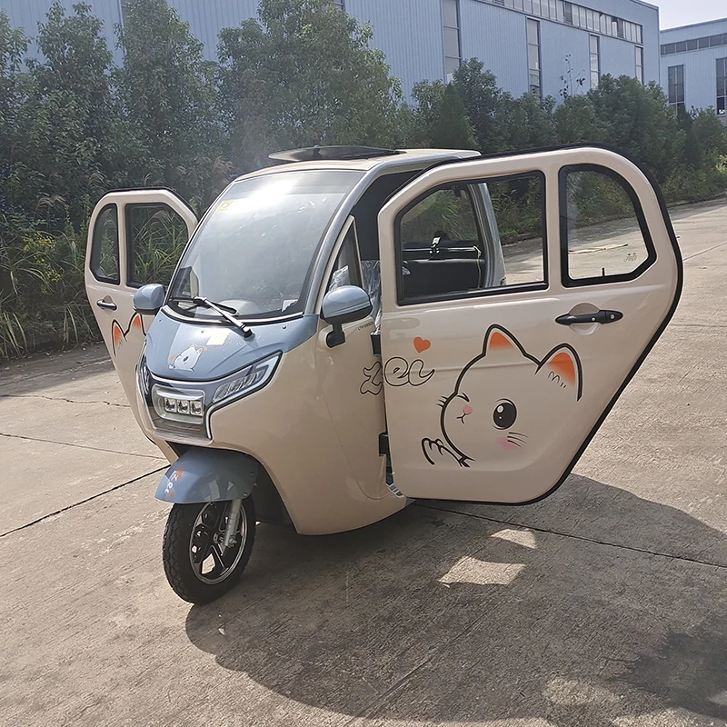 Enclosed Cabin e-trike Three Wheeler electric Tricycle For Adults With ...