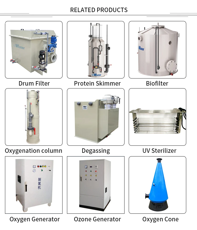 RAS Equipment - Efficient Indoor Fish Farming Solutions