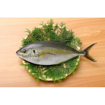 Frozen White Trevally Fillet - Buy Frozen White Trevally Fillet Product ...