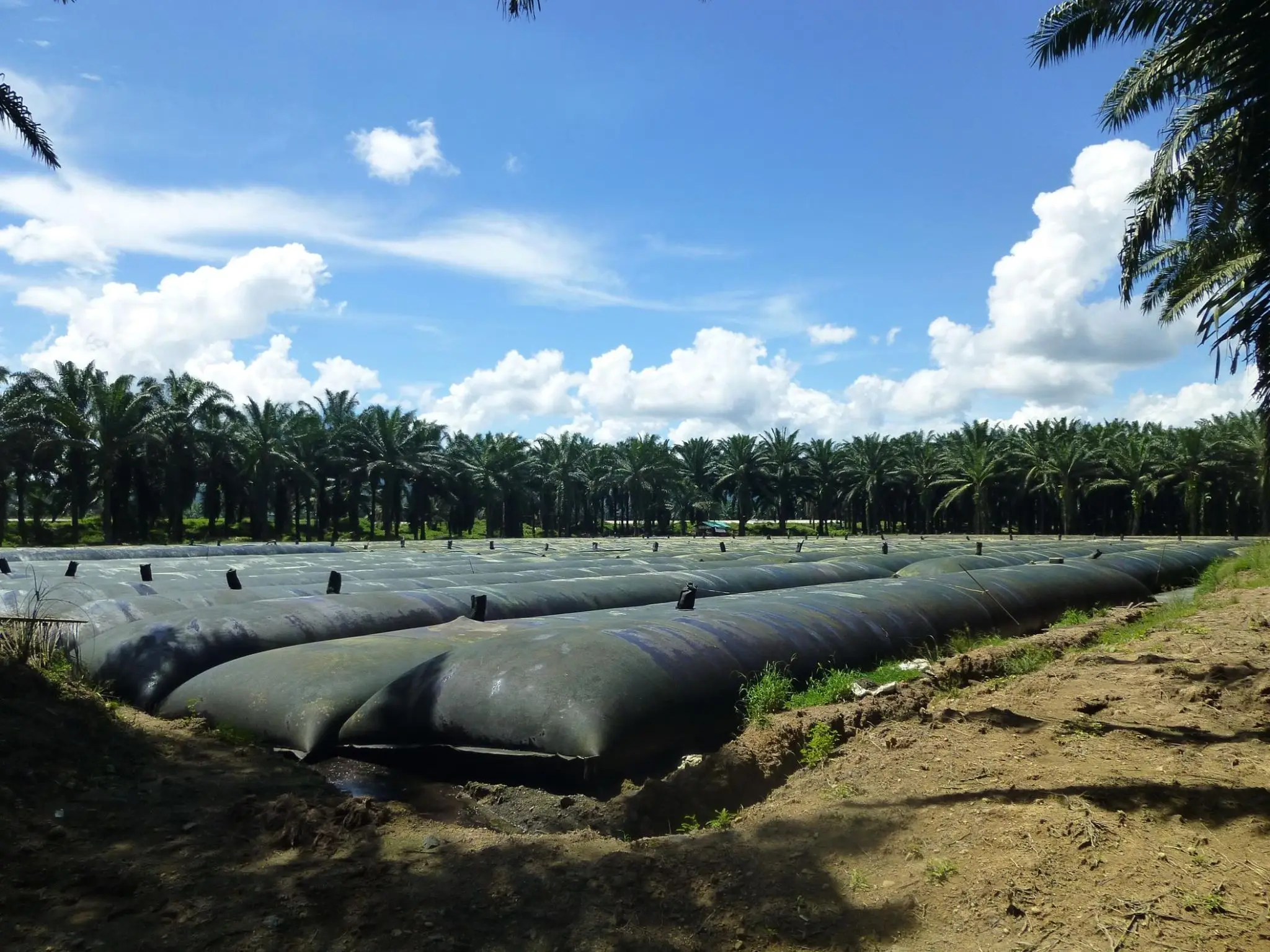 Pp Geo Container Sludge Dewatering Bag Geo Tube Geotextile Fabric Cover ...