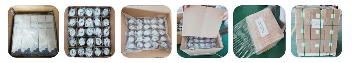 Water Filter Housing Refillable Empty Shell White Clear Blue 10 Inch ...