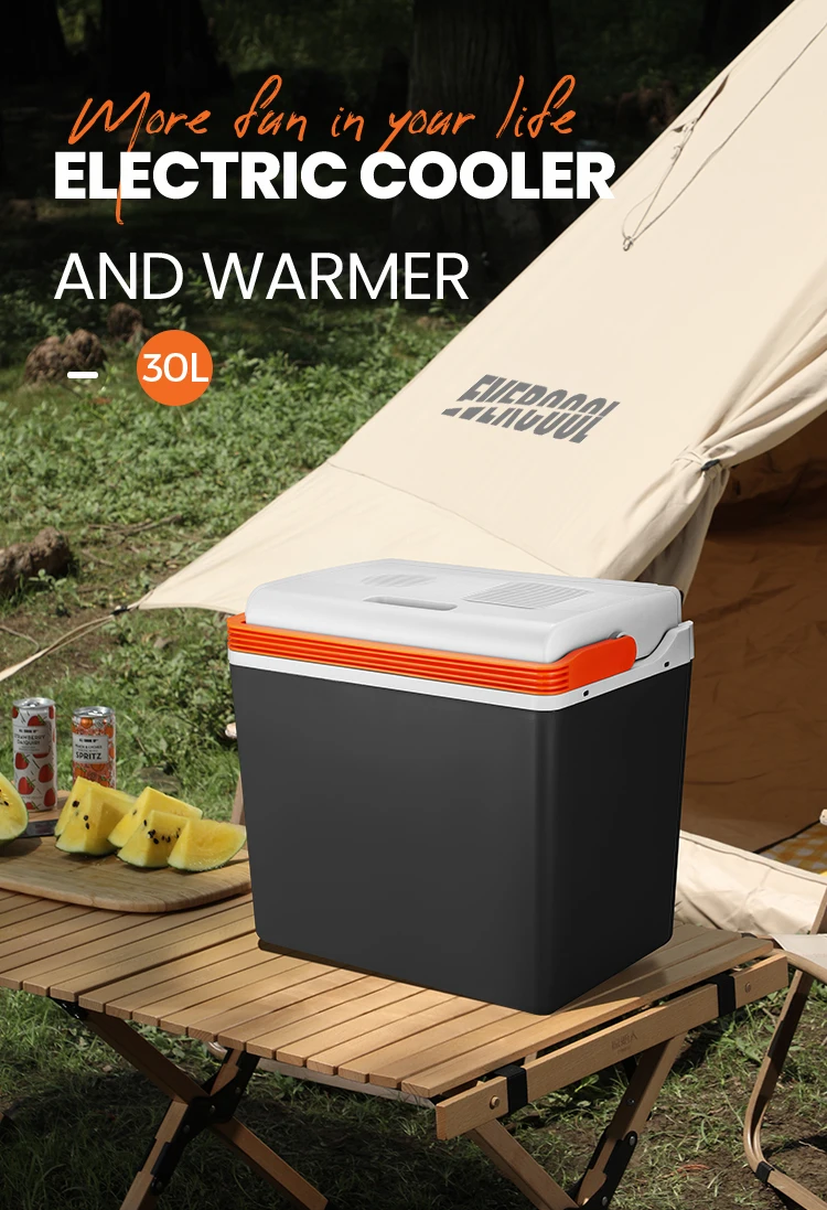 30 Liter Camping Fridge Portable Car Fridge 12v Picnic Electric Cooler ...