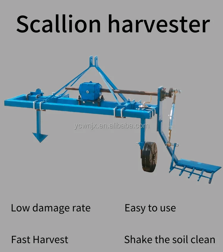 Scallion Harvester Fresh Onion Ginger Harvester Scallion Harvesting ...