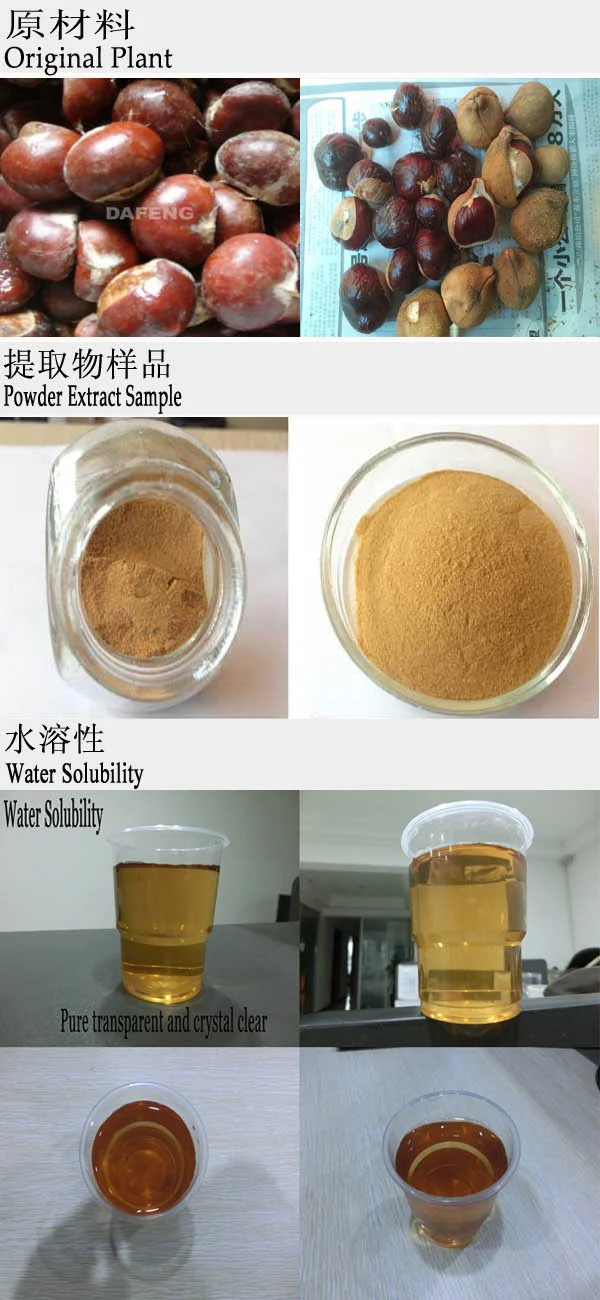 Horse Chestnut Extract - Aescin 20% UV Powder for Health