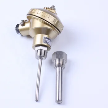 Single Or Duplex Pt100 Temperature Sensor Rtd Sensor Probe With ...