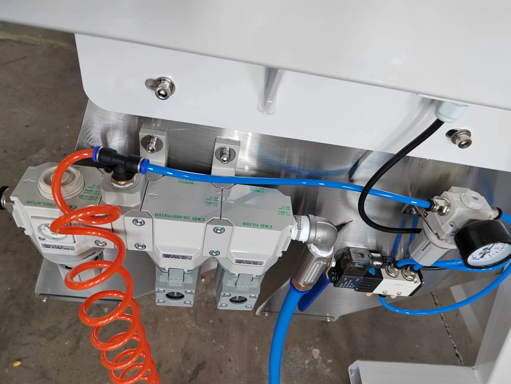 Italy Hazelnut Optical Selector - Precision Sorting Machine