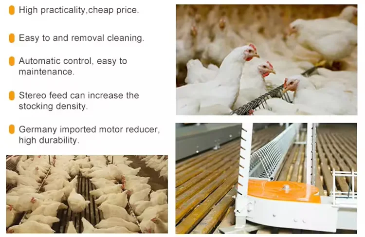 Modern Automatic Chicken Poultry Farm Regulator and End Kit Big ...