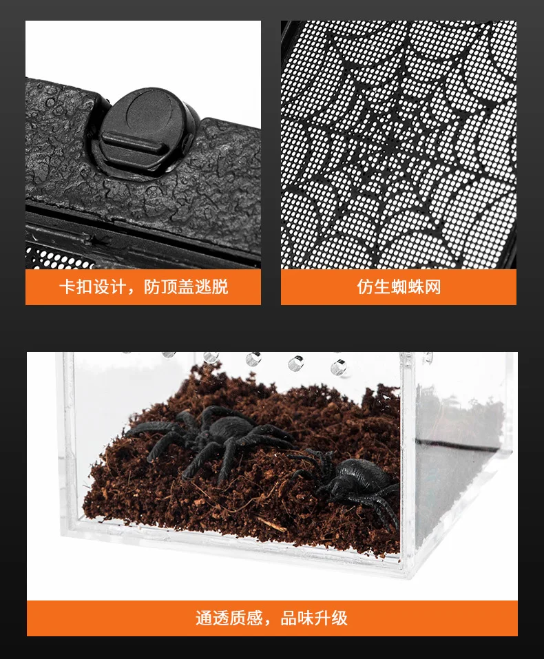 Acrylic Spider Box - Perfect Tank Insect Home for Reptiles