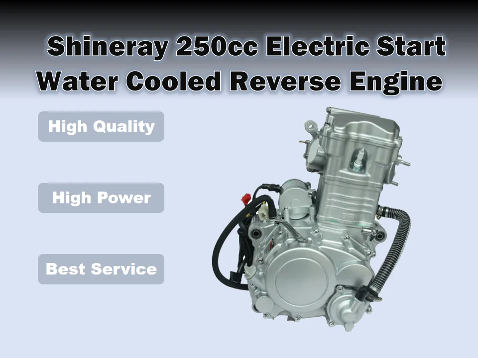 Shineray 250cc Electric Start Water Cooled Reverse Engine 4+1 Motor For ...