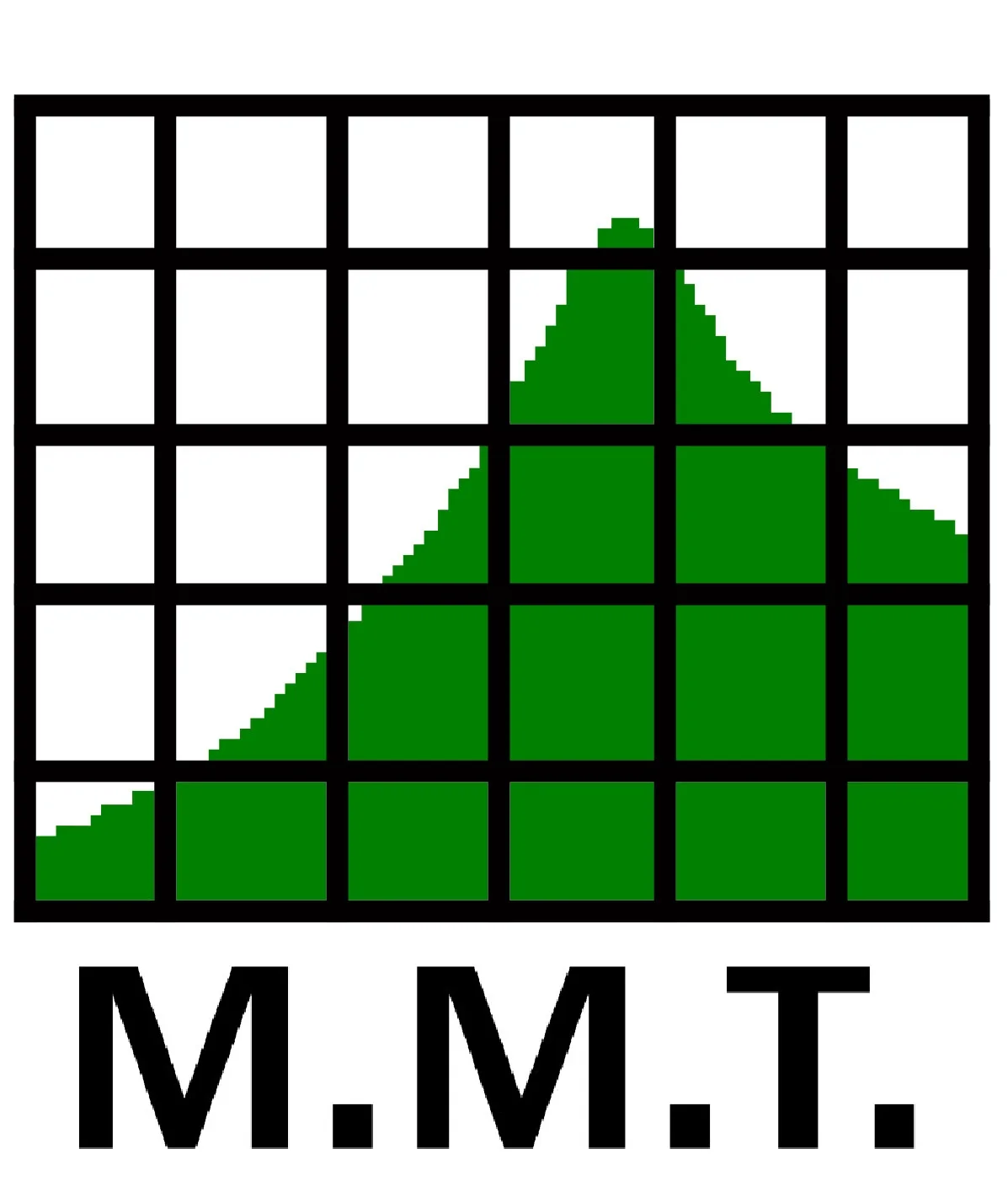 Company Overview - MMT SRL