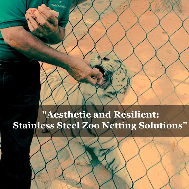 Manufacturer of Flexible Stainless Steel Wire Mesh Cable Bird Netting ...