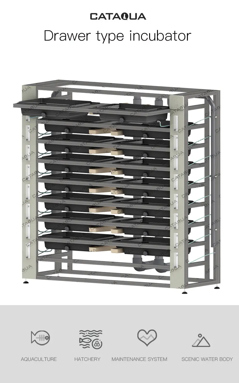 CATAQUA RAS Recirculating Aquaculture Systems Trout Incubator