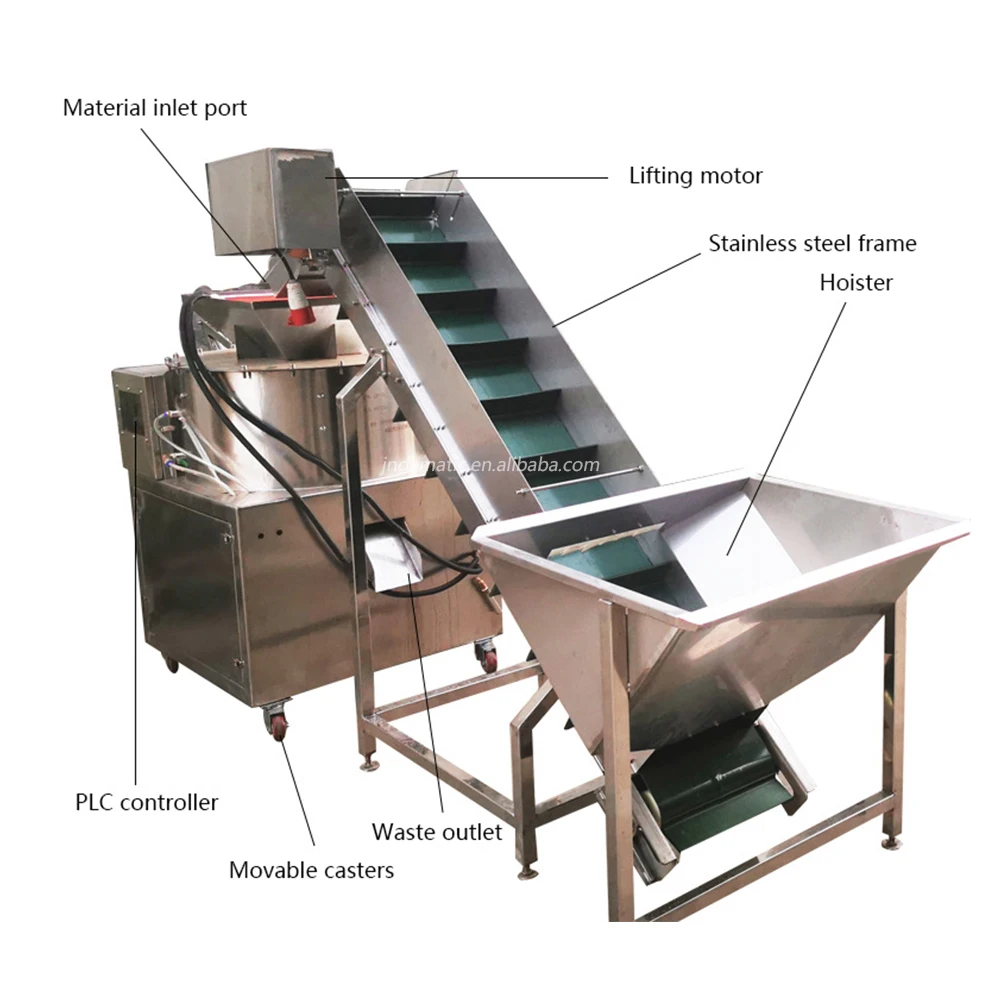 Factory Hoister Automatic Continuous Potato Conveyor Washer Taro ...