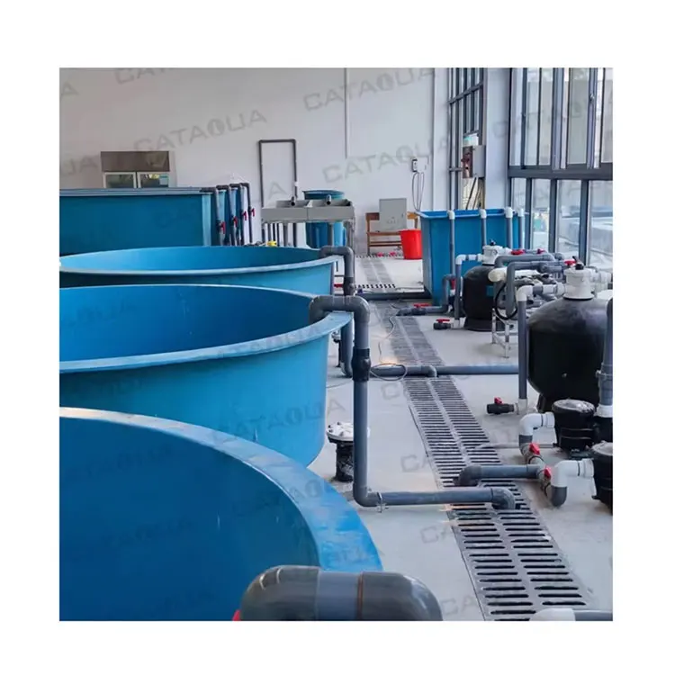 Aquaculture Equipment Recirculating Aquaculture System for Indoor Fish ...