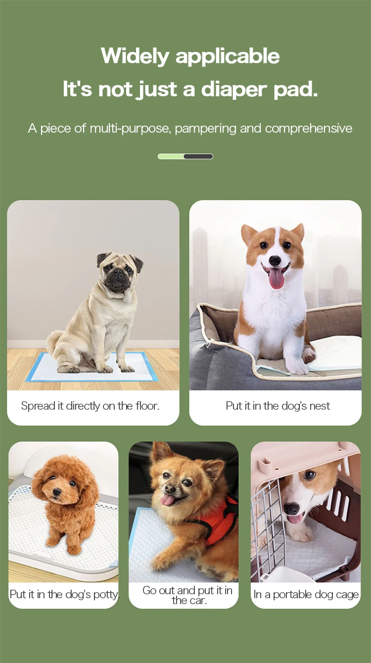 Dog Diaper 100 Deodorant Pad Teddy Diaper Pet Diaper 8 Pee Pad Pee Pee ...