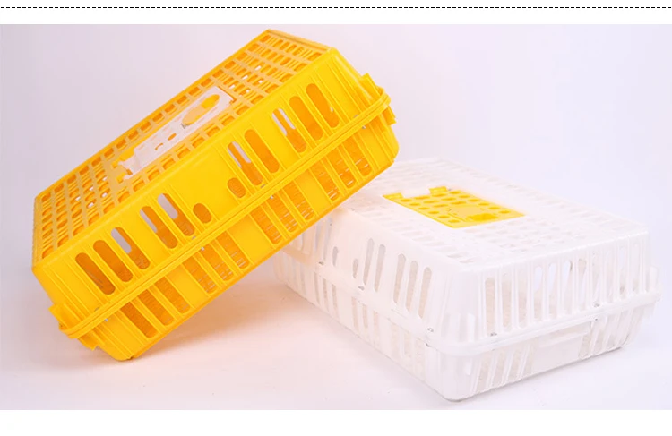 High Quality Plastic House Laying Duck Crates for Poultry