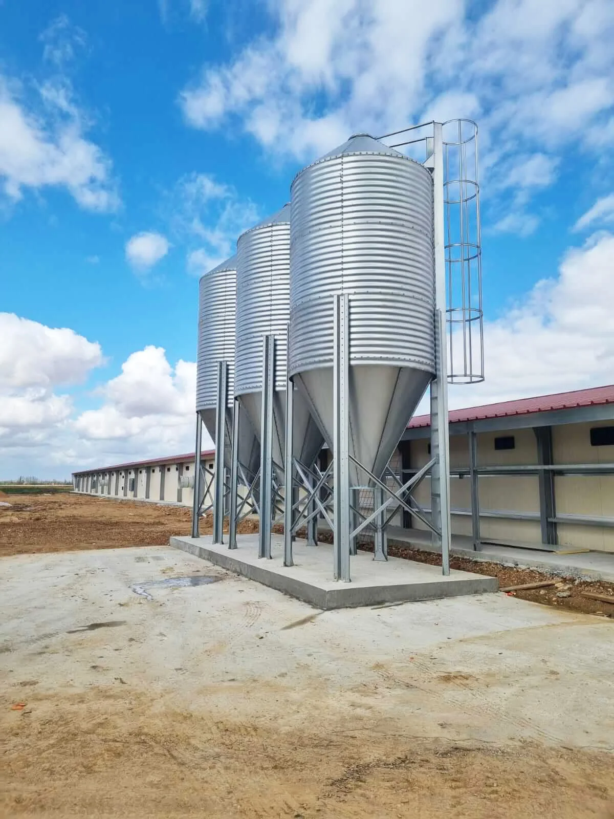 Automatic Farm Feed Bin Grain Silo Wall Panel Curving Roll Forming ...