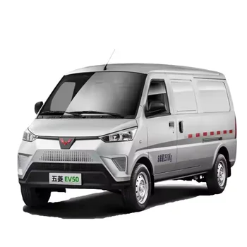 Wuling Ev50 Cargo Van 2023 2024 Pure Electric Logistics Vehicle 2 Seats ...