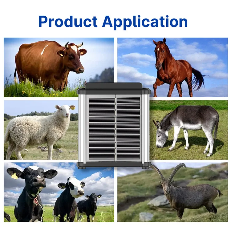 4G Solar Powered Cow GPS Tracker for Real-Time Animal Tracking & Geofencing