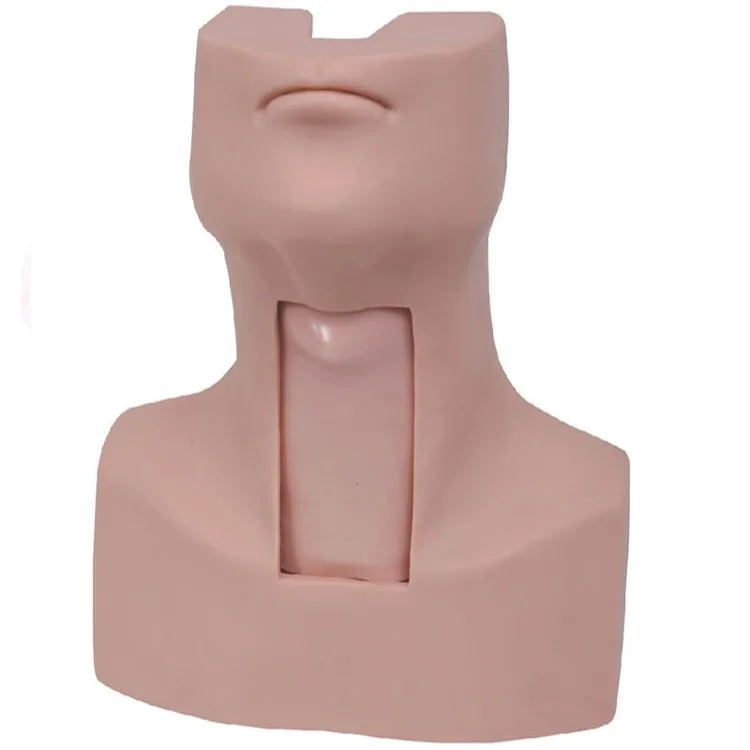Premium Medical Emergency Training Advanced Tracheostomy Simulator On ...