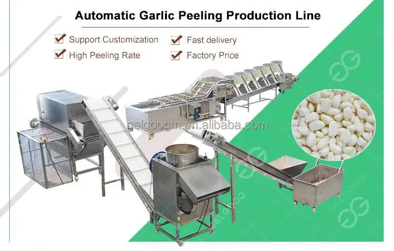 Gelgoog Garlic Peeling Machine Mechanism Project Sales Garlic Peeler ...