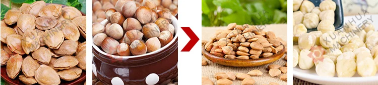 Palm Kernel And Shell Almond Kernel Cracking And Separator Palm Nut ...