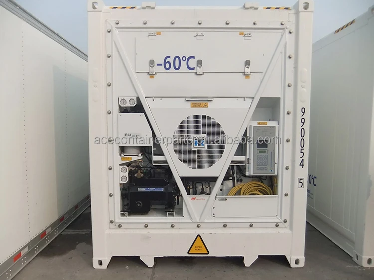 Minus 60 Degree Fresh Tuna Storage - Thermo King 40ft Reefer