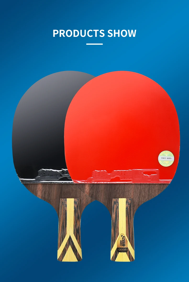 Professional DHS Table Tennis Racket - 9 Star Design | Fast Offensive ...