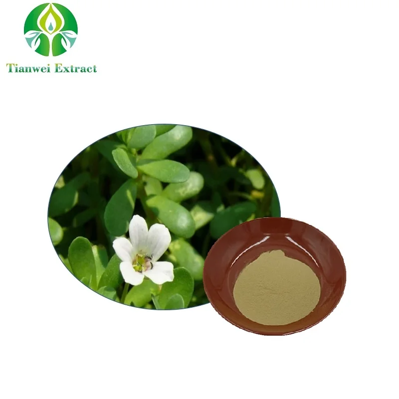Bacopa Monnieri Extract 5:1 10:1 20:1 Bacopasides 50% Powder - Buy ...