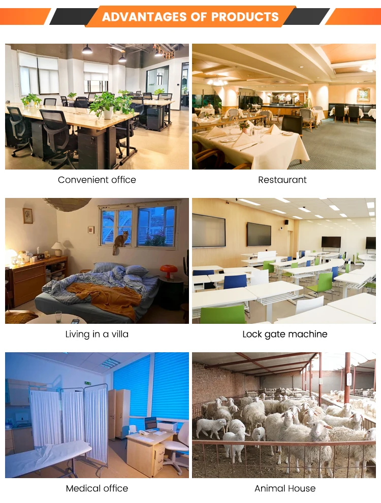 Magic House Expandable Container Homes - Modern & Durable
