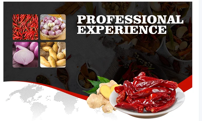 Nutritious And Tasty Exported Chilli Pepper High Yield Honglong Chilli ...