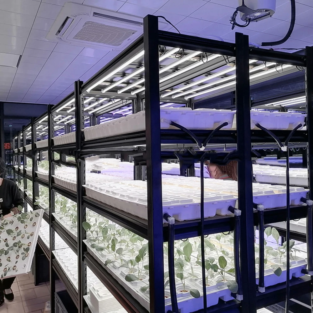 Vertical Farming Grow Rack System - Efficient Hydroponics