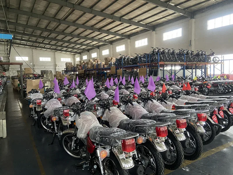 Motorcycle Motorbike WY150 WY200 - High-Speed, Fuel-powered