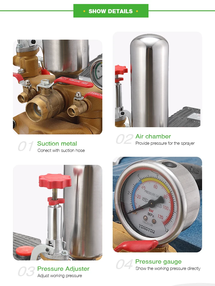 Agricultural Equipment Power Sprayer Dc Motor Triplex Plunger Pumps ...