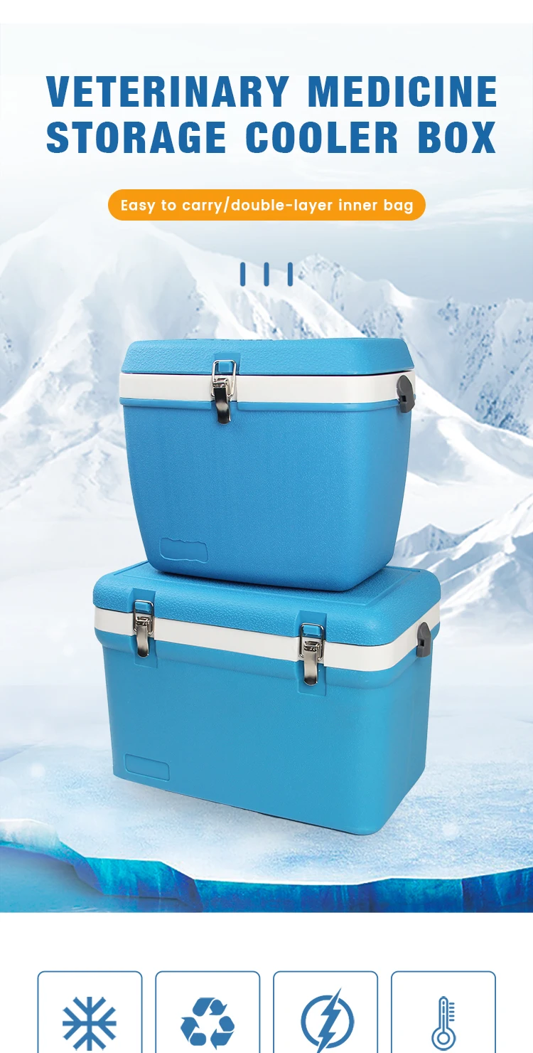 Portable Refrigerator for Vaccine Transfer Cooler Portable Freezer ...