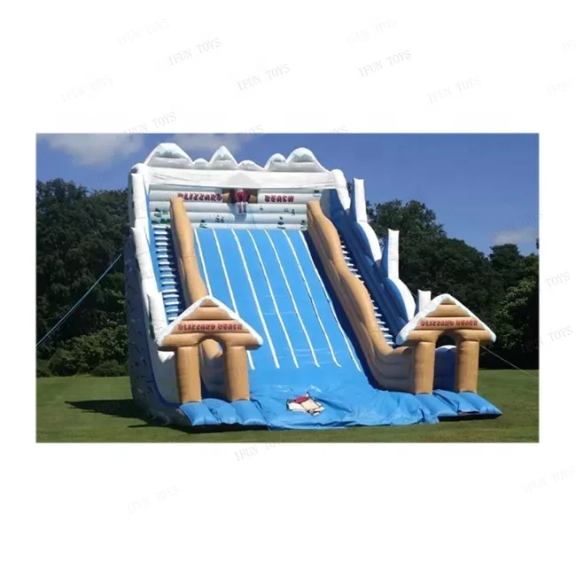 Outdoor Basic Commercial Large Outdoor Game Princess Inflatable Dry ...