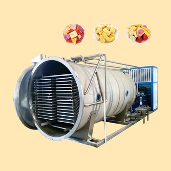 Effective Freeze Dryer Commercial Freeze Drying Machine Food Processing ...