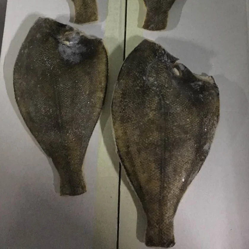 Frozen Yellowfin Sole Hg - Buy Yellow Fin Soe,Yellowfin Sole,Sole Hg ...