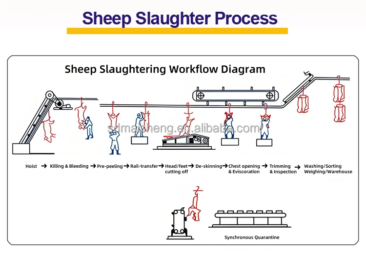Maisheng Sheep Slaughter Line Halal Slaughterhouse Butcher Equipment ...