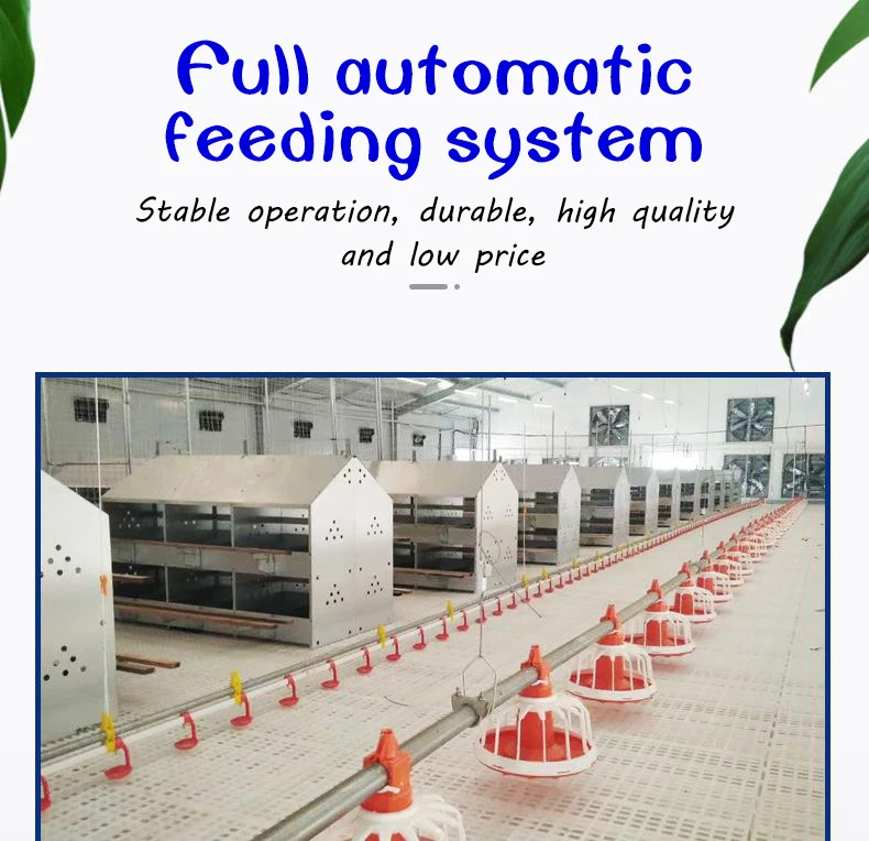 Broiler Farming Equipment Automatic Poultry Feeding Line System for ...