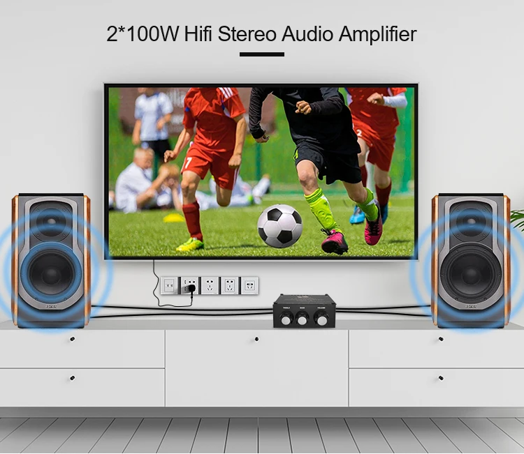 Dual Channel Mini 100W+100W Class D Digital Power AMP Module