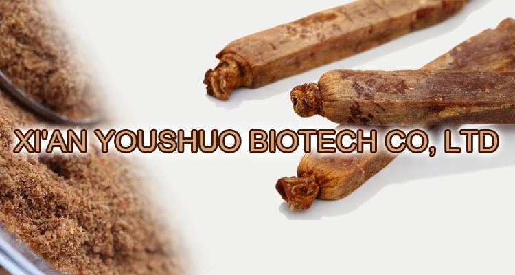 Top Grade Plant Extract Natural Kigelia Africana Fruit Powder