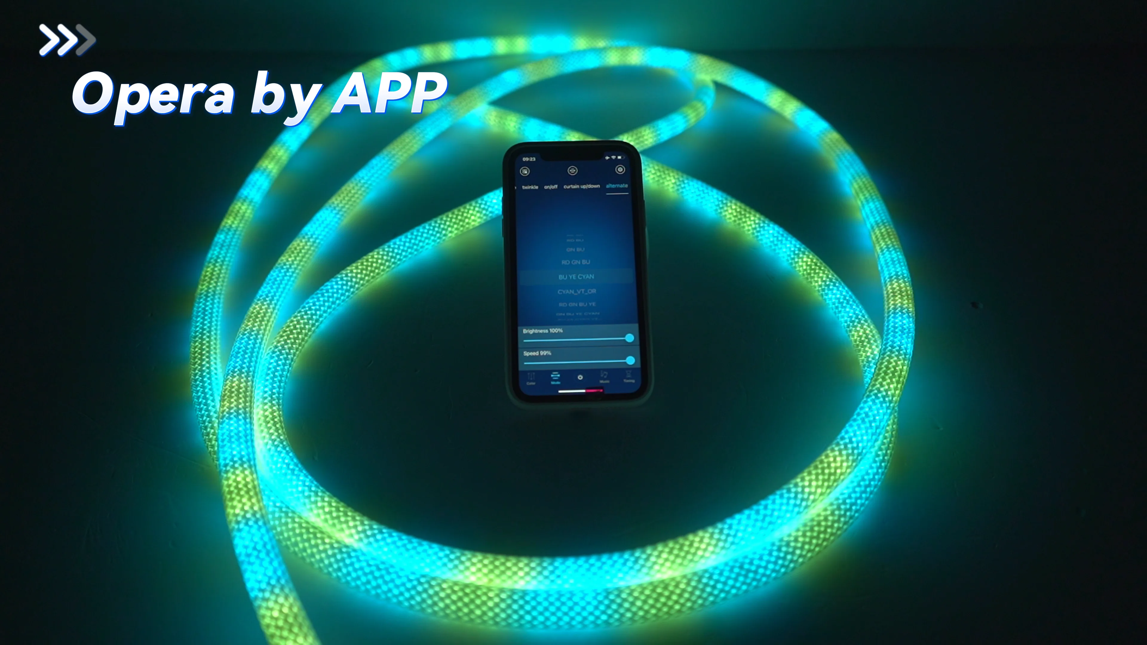 Ip68 Flexible Weave Neon Led 24v Pixel Dmx Colorful Smd2835 Silicone ...